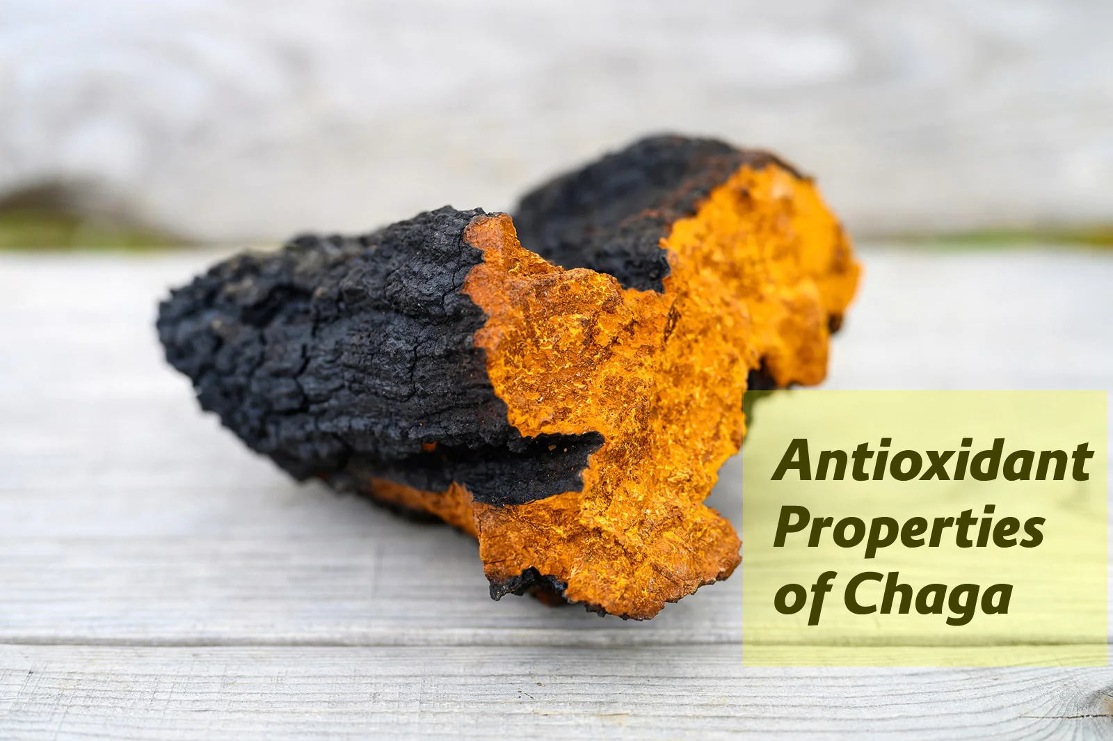 How to Make Chaga Tea at Home with Easy Recipes!