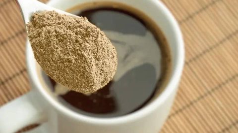 Top 3 Best Lion's Mane Tea Recipes