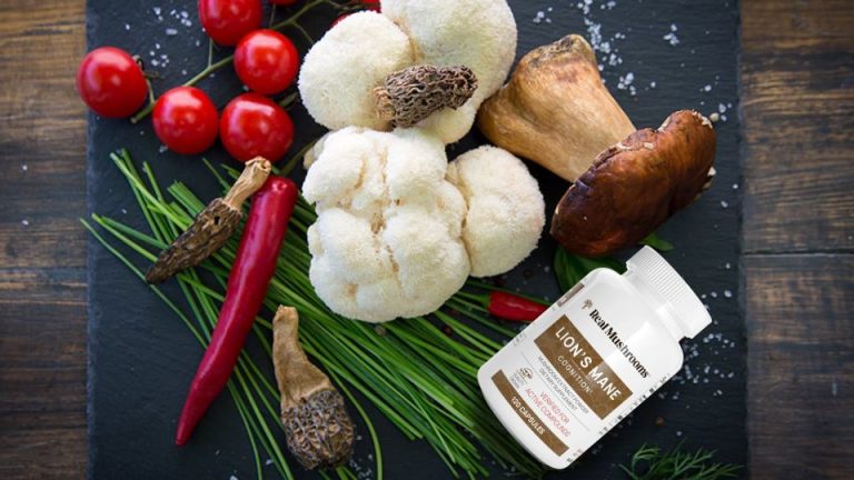 Best Lion's Mane Supplement: Our Top 6 Picks for 2025