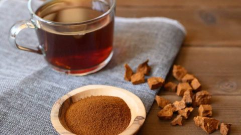 Chaga Tea Recipe: Boost Your Health with this Delicious Brew