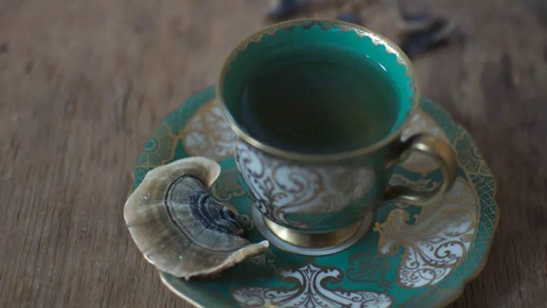 Turkey Tail Mushroom Tea: A Delicious Way to Boost Your Immune