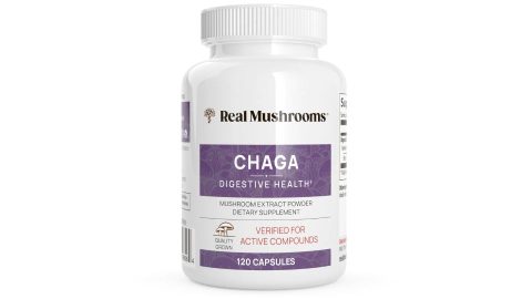 Top 6 The Best Chaga Mushroom Supplement